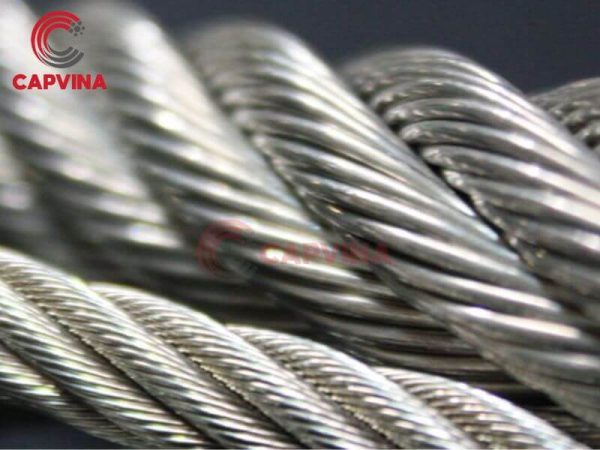 Stainless steel wire cable - CAPVINA Wire Rope Company